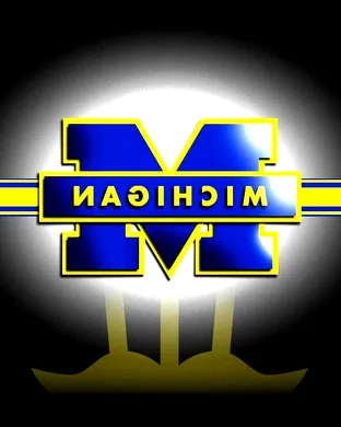 Michigan Wolverines November 28 tickets | Ticketsdetroitmi